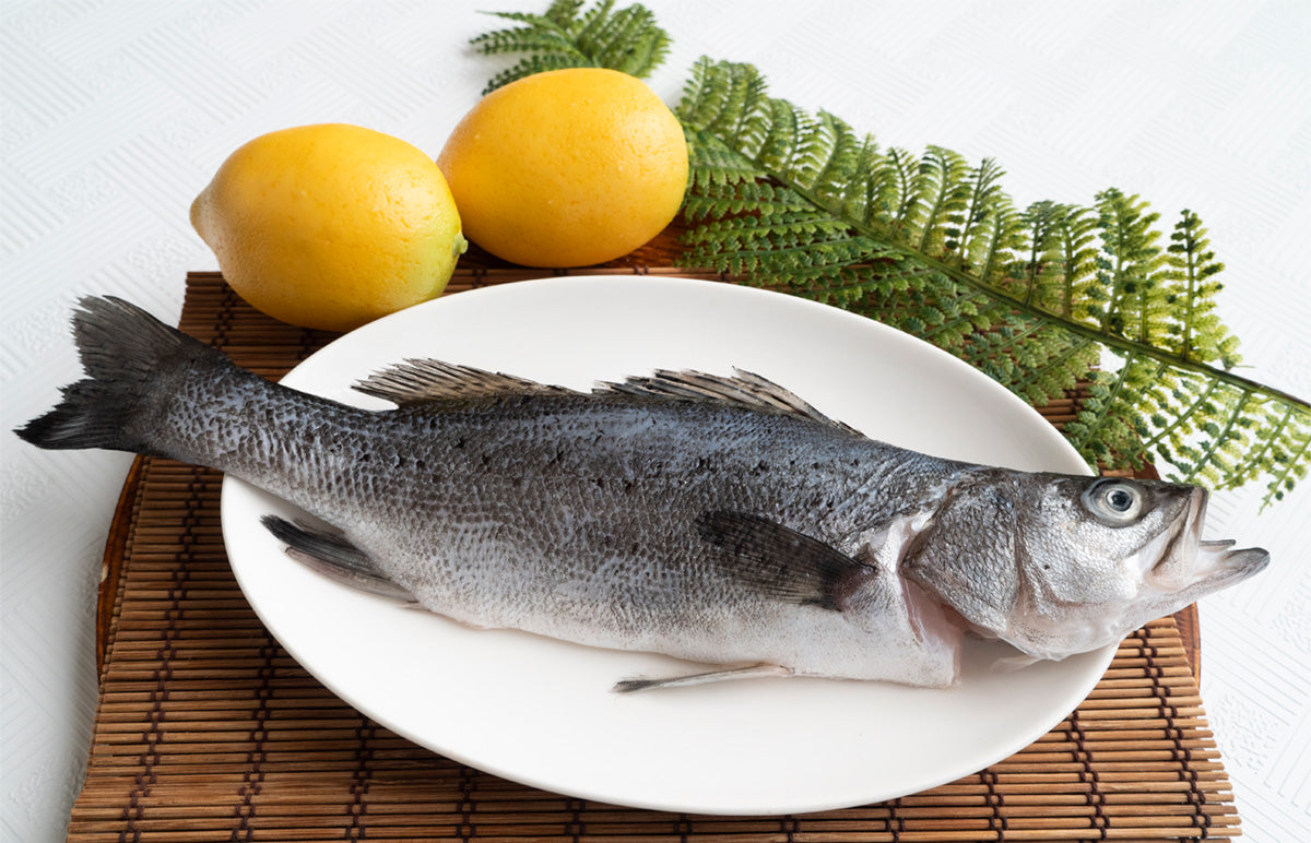 TANHOU Japanese Sea Bass Whole Fish 240g 天和鮮物 日本真鱸全魚 240g – Combo Market